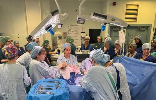 Surgery team of 50 save new-born in rare procedure - Surgery International